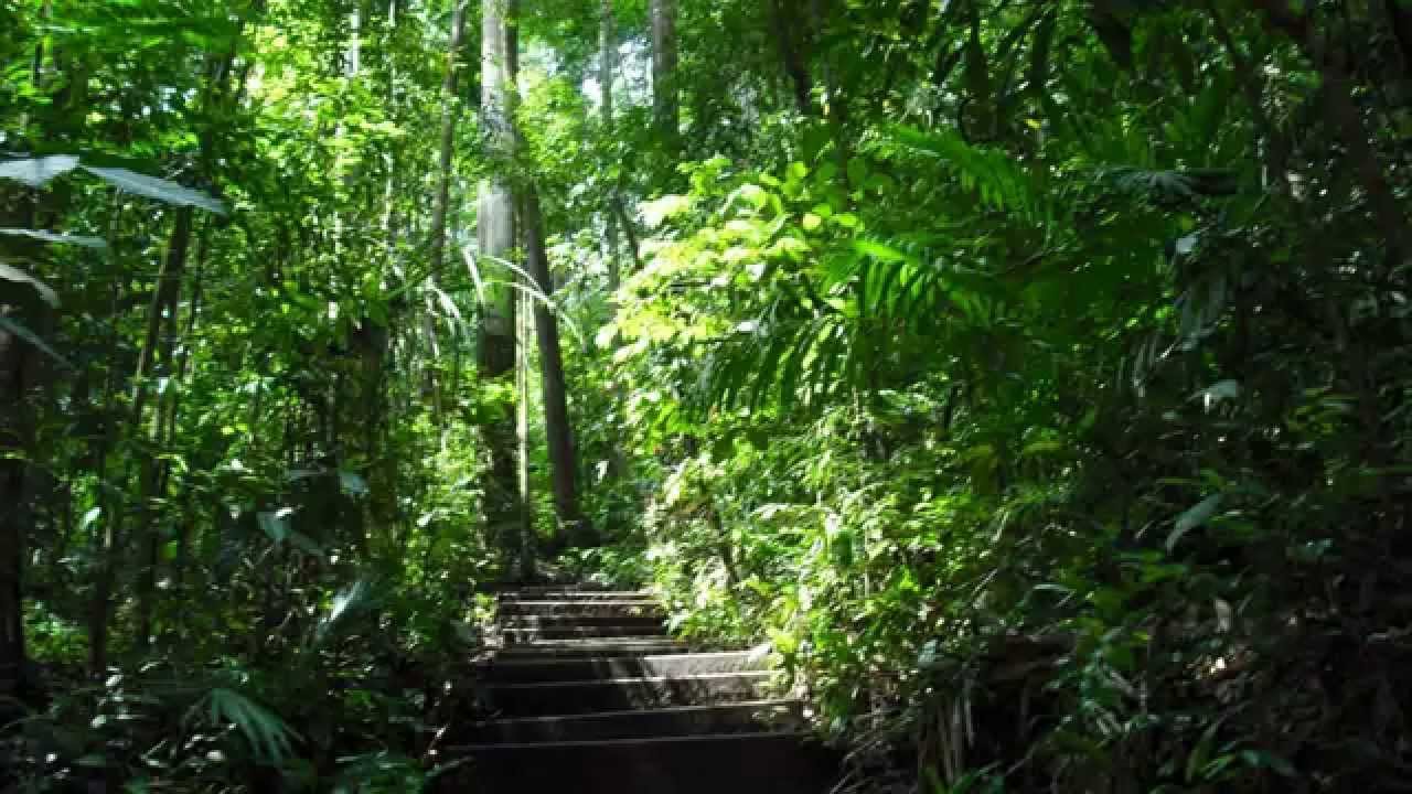 World Tourism Host: Pulau Ujong, Singapore.
