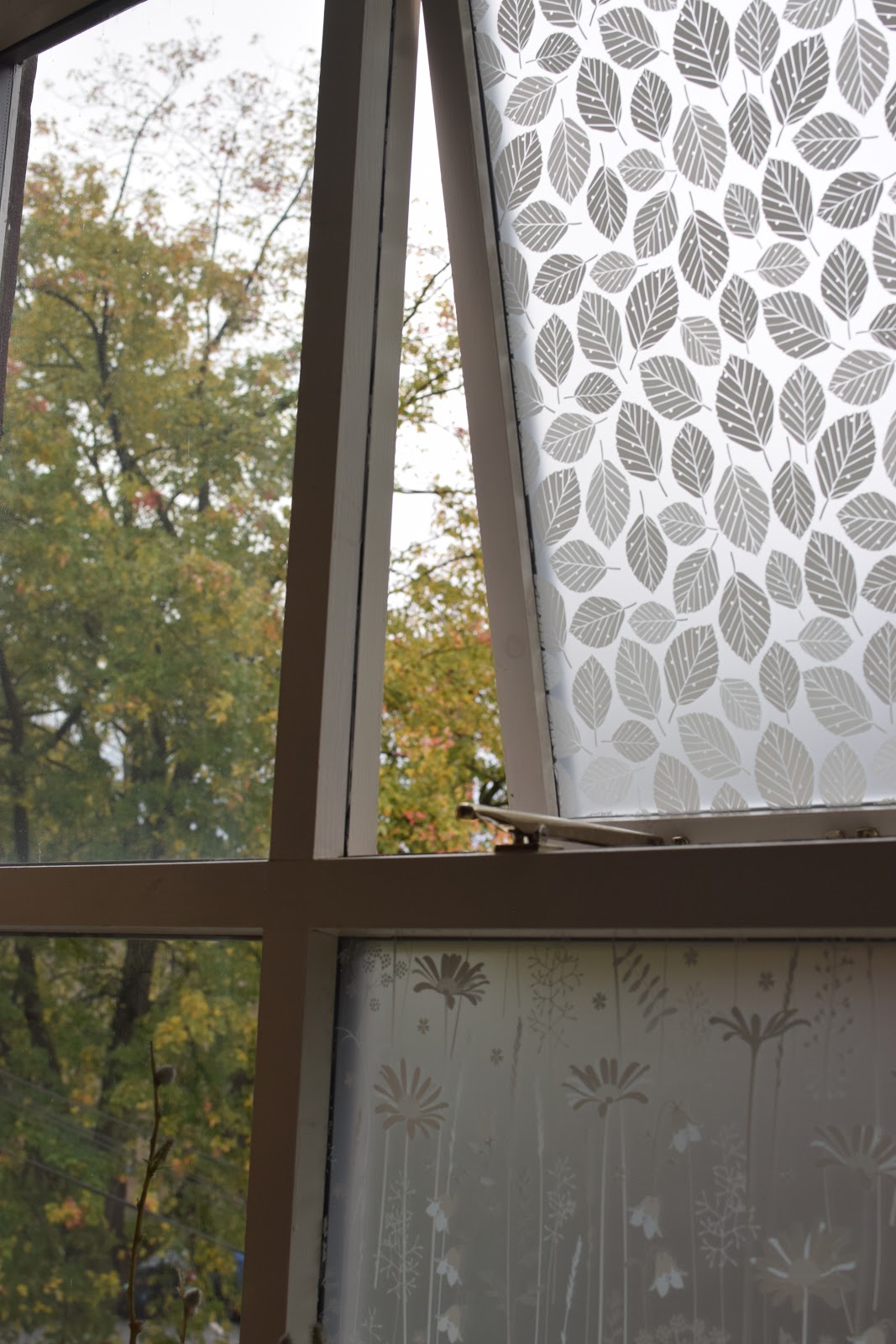 Hannah Nunn: Window film update