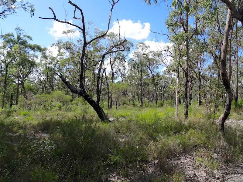 Walking with Friends Down Under: Return to the Aussie Bush