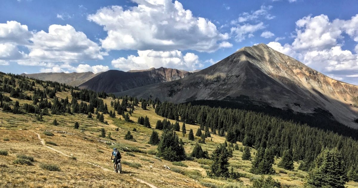 On Wanting – Where do motivation and desire come from? | Greg Heil .com