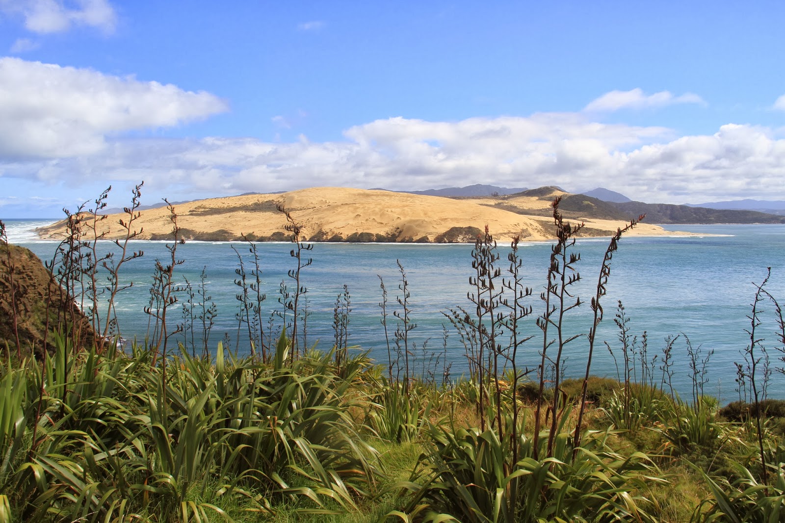 Weltreise 2014: Tane Mahuta & Te Matua Ngahere, 3rd of March 2014