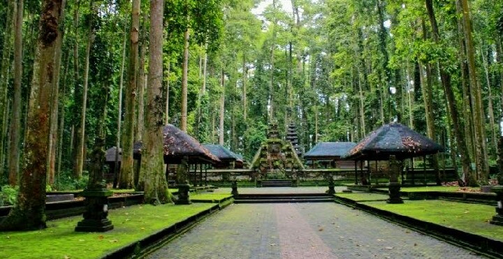 Sangeh Bali Monkey Forest 2023 - Gambar, Harga Tiket Masuk, Daya Tarik ...