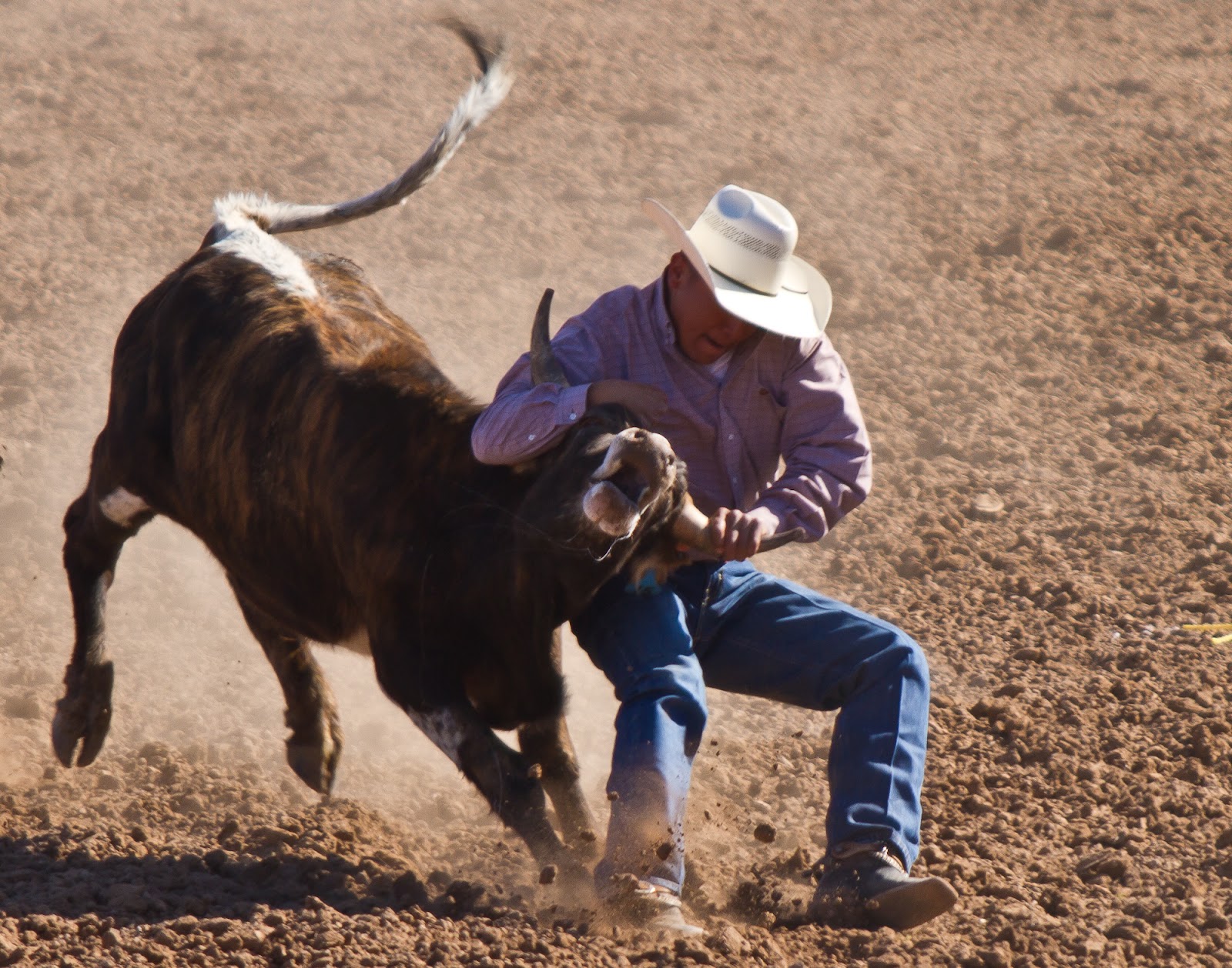 James Gordon Patterson Photography: La Fiesta de los Vaqueros! Tucson ...