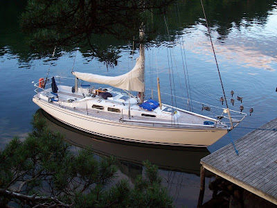 Design 2008 Sagitta 35 | Beginner