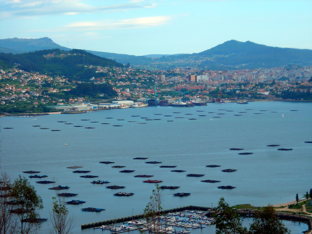 La ría de Vigo - ¿que ver?