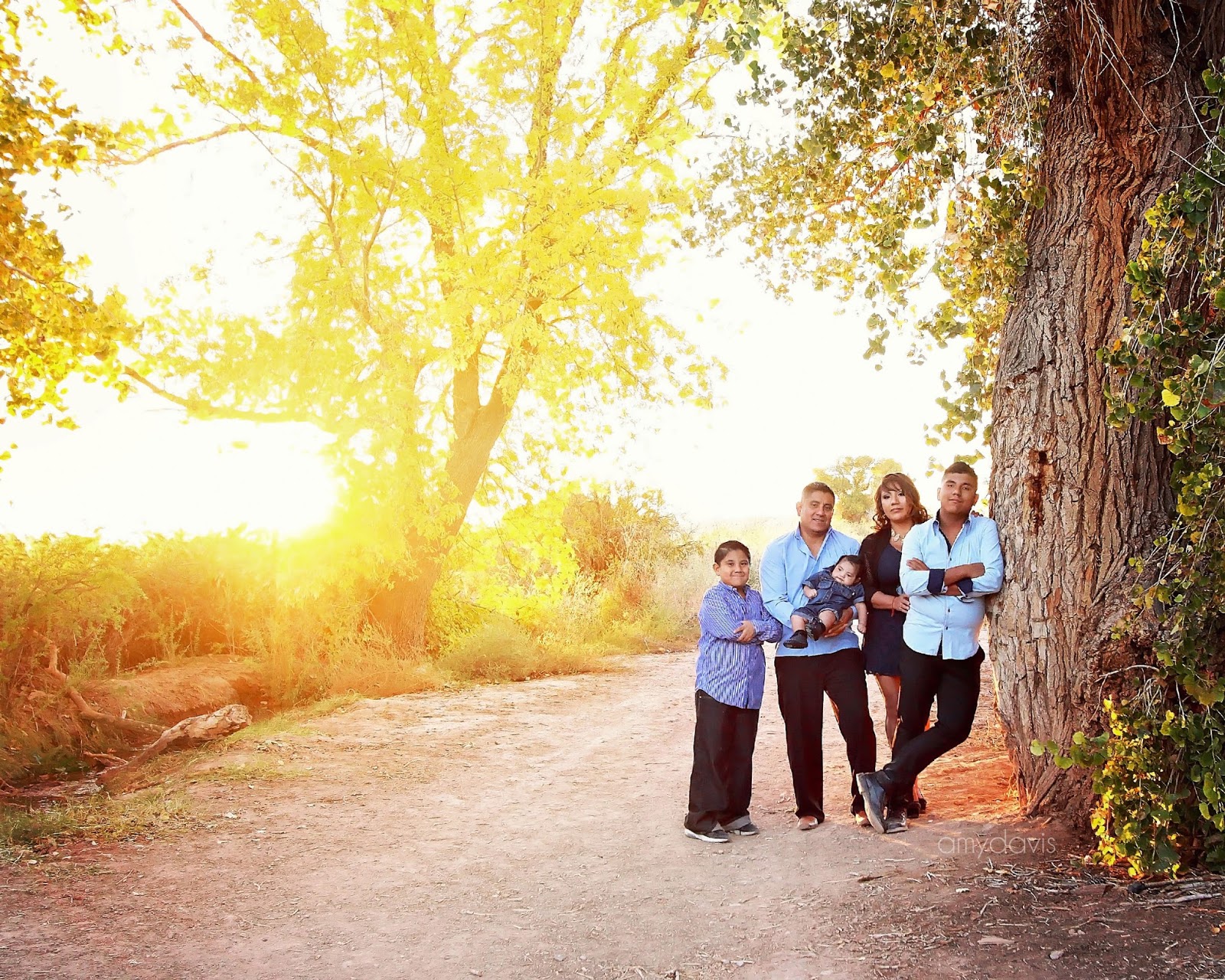 Amy Davis Photography