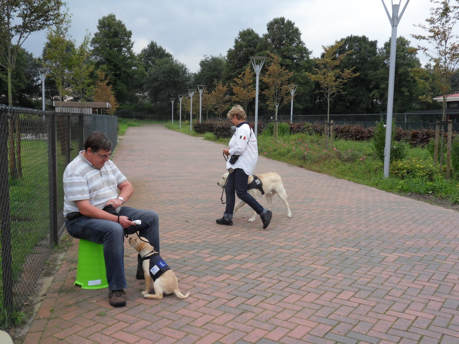Ginny, hulphond in opleiding: Collectieve les