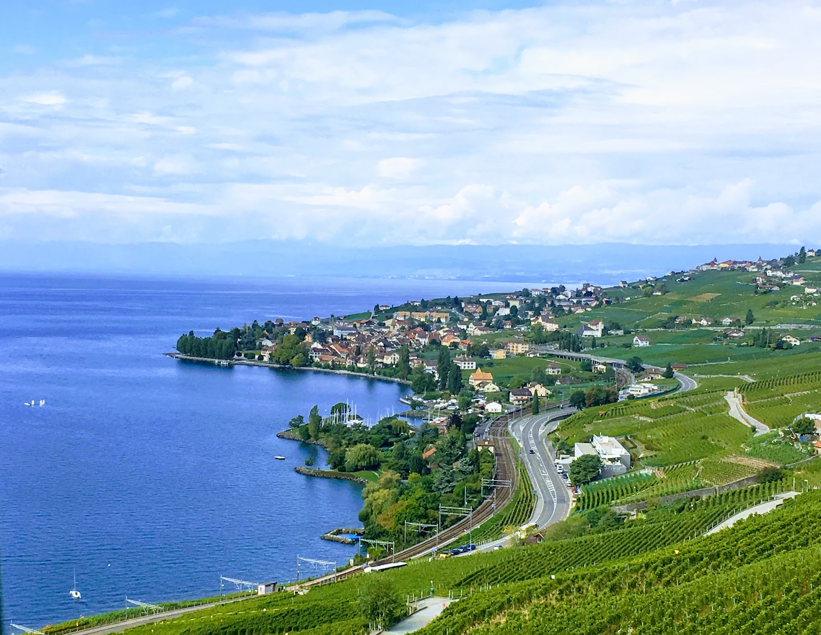 Lavaux Express: A Wine Train Through the Lavaux Vineyards | Logic ...