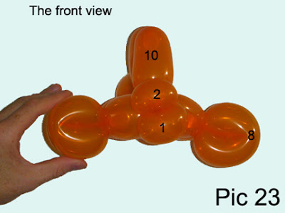 CLASSICAL: Balloon fish