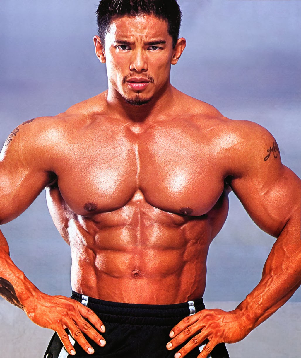 the beauty of male muscle: Stan