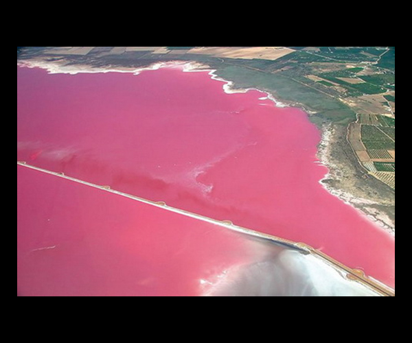 LAGO ROSA | The World