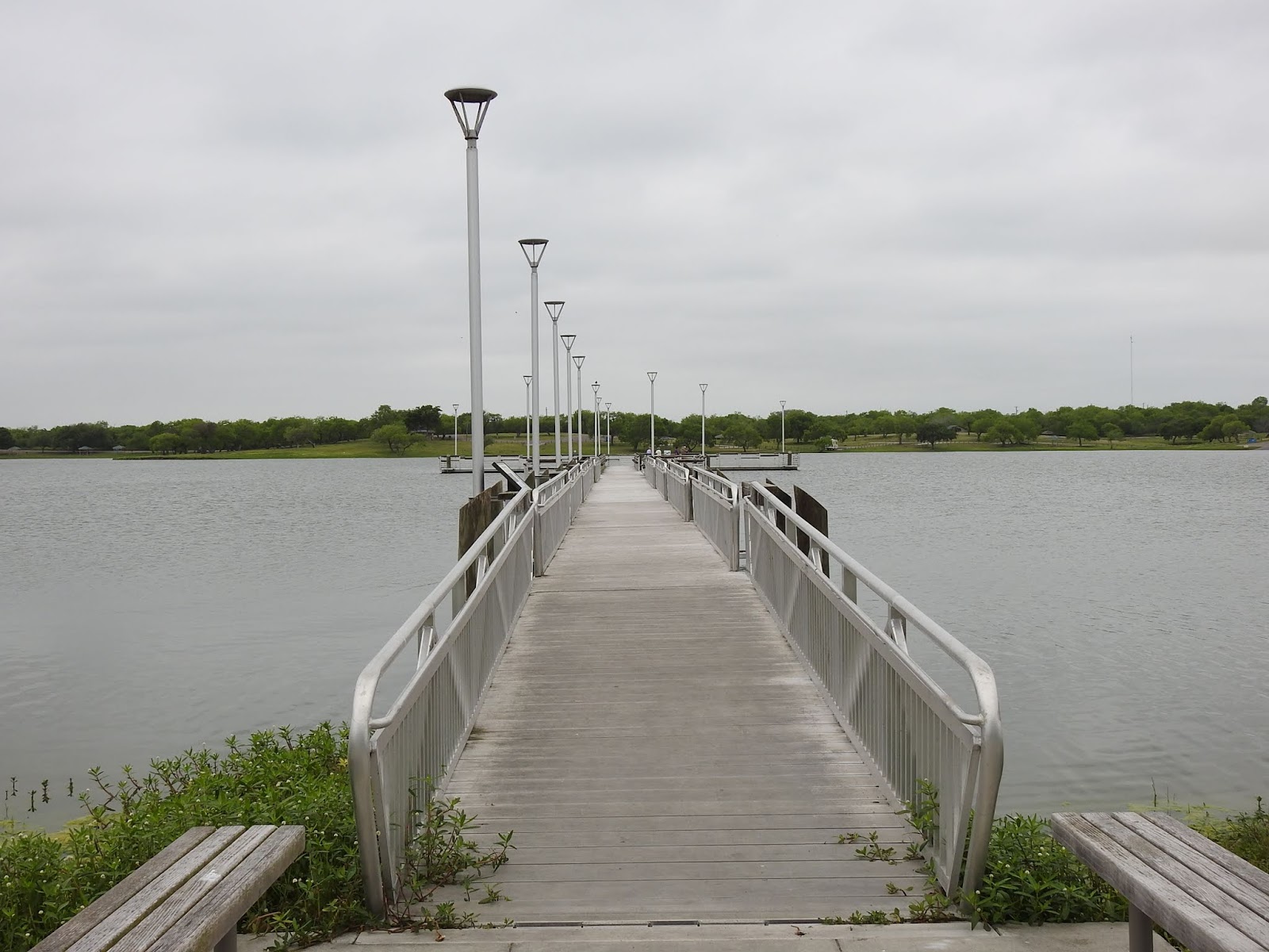 Travel with Kevin and Ruth: Some bird watching at Lake Corpus Christi ...