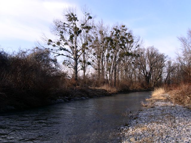 Wanderland Austria: An der Schwechat