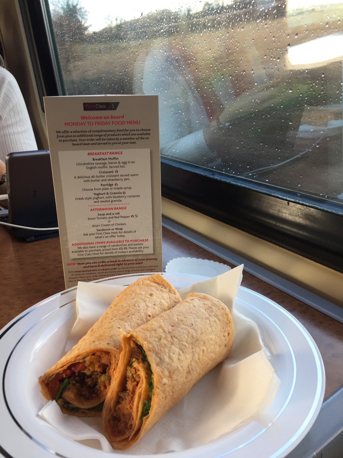 mwtrips - Mark's Rail Adventures: First Class Rail Travel