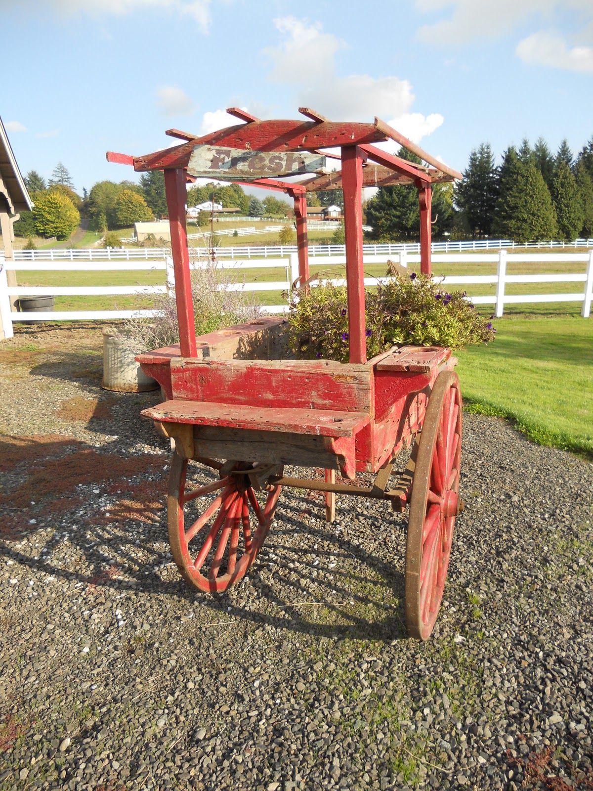 Fleurs: Queen of Carts