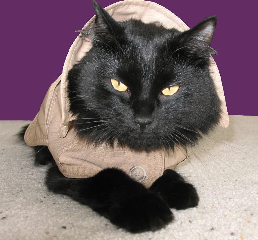 Melissa's Mochas, Mysteries and Meows: Mudpie Interviews...Buckley and ...