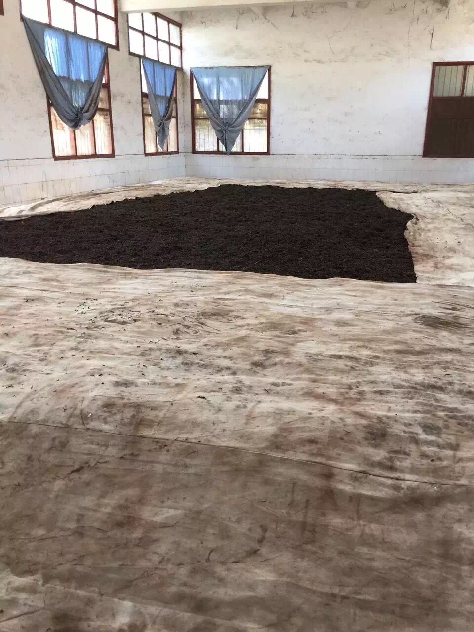 where to buy high quality pu'erh tea: Tea Producing Process