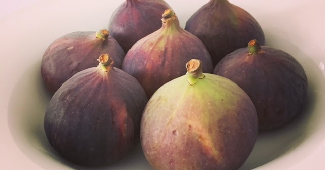 Lady Stella: Figs ☺️