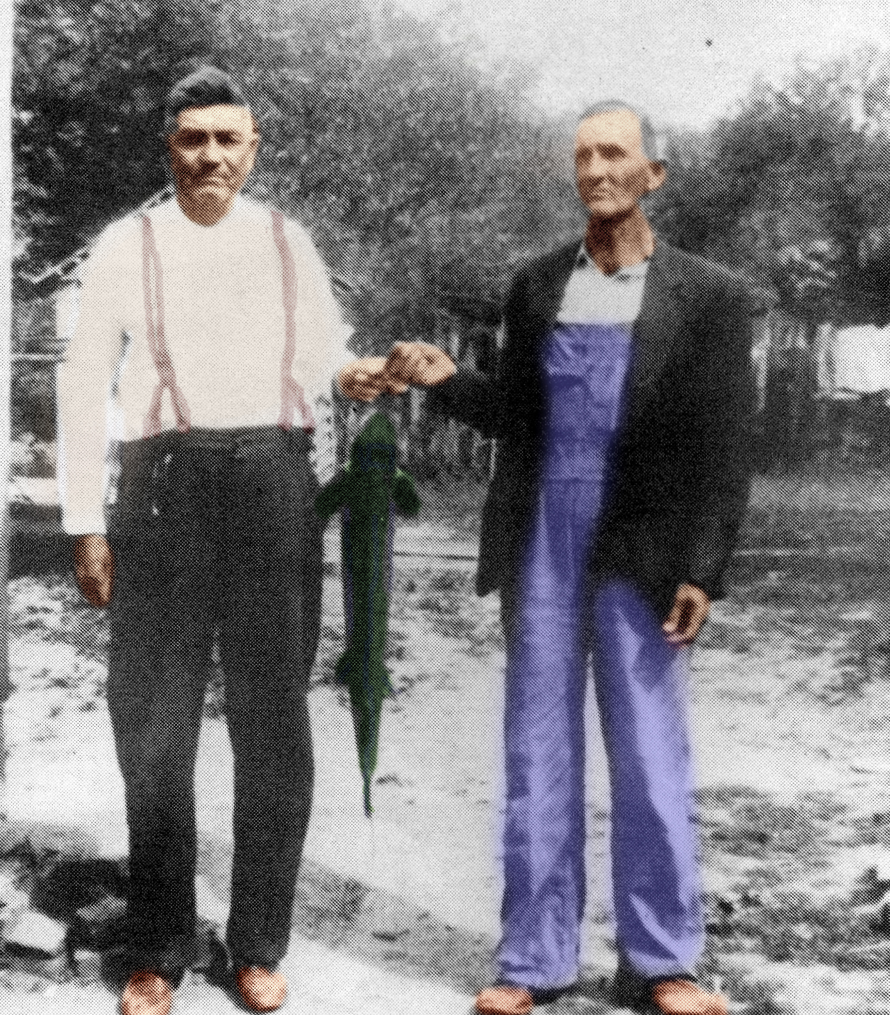 Elisha Joe Atkins and Descendants: Color Photographs