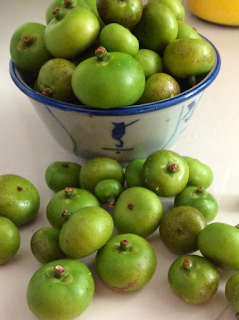 Batuan Fruit Multiple Purposes, Health Benefits - Philippine Trending News