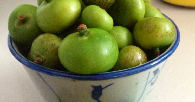 Batuan Fruit Multiple Purposes, Health Benefits - Philippine Trending News