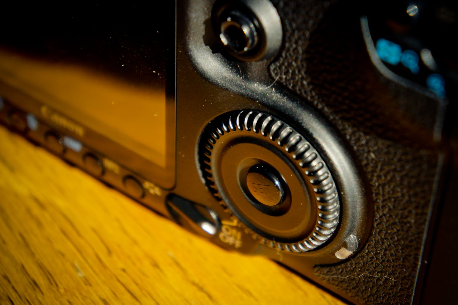 Life on the Peninsulas: Camera Basics