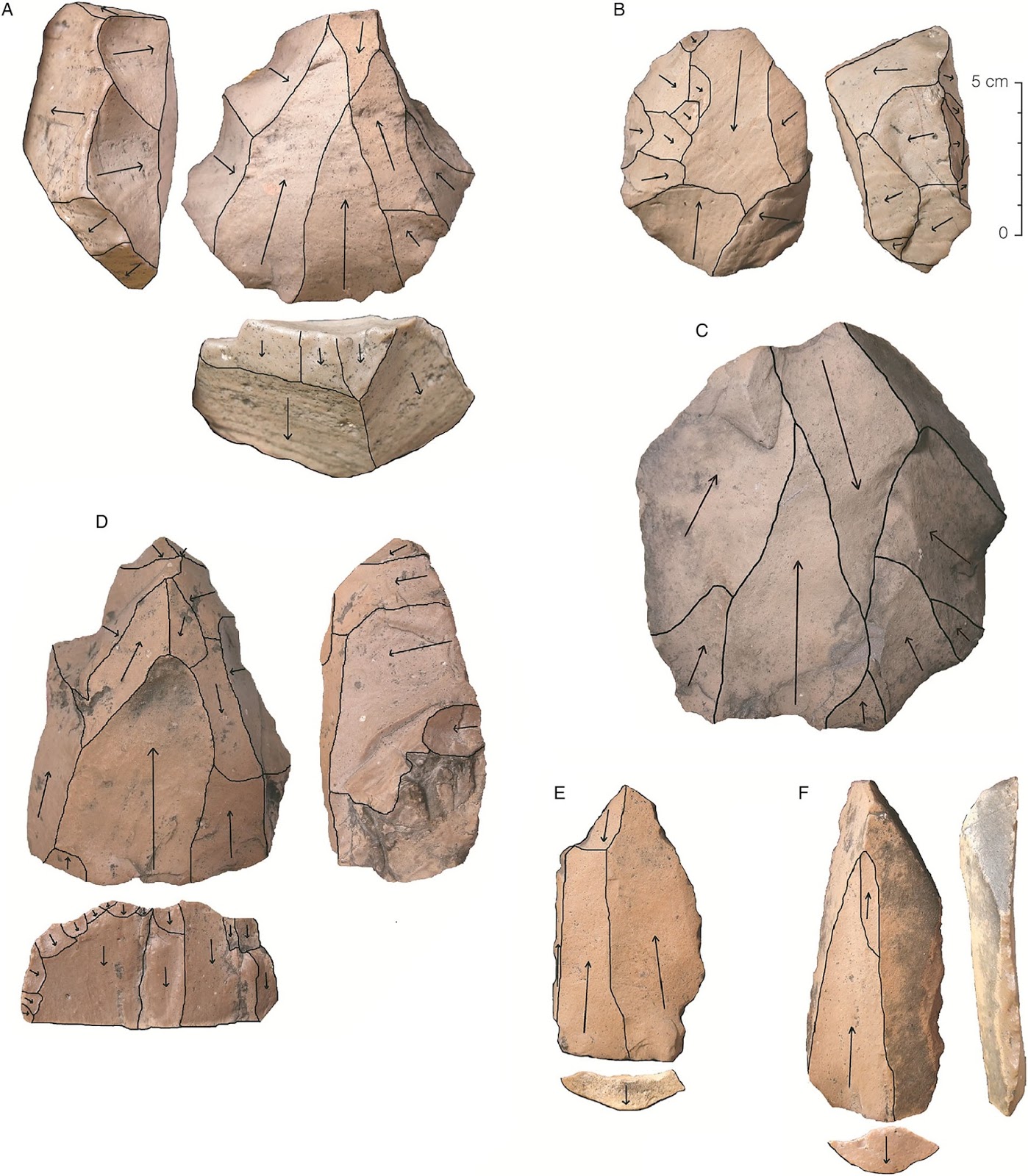 Sciency Thoughts: Middle Palaeolithic stone tools from the Nejd Region ...