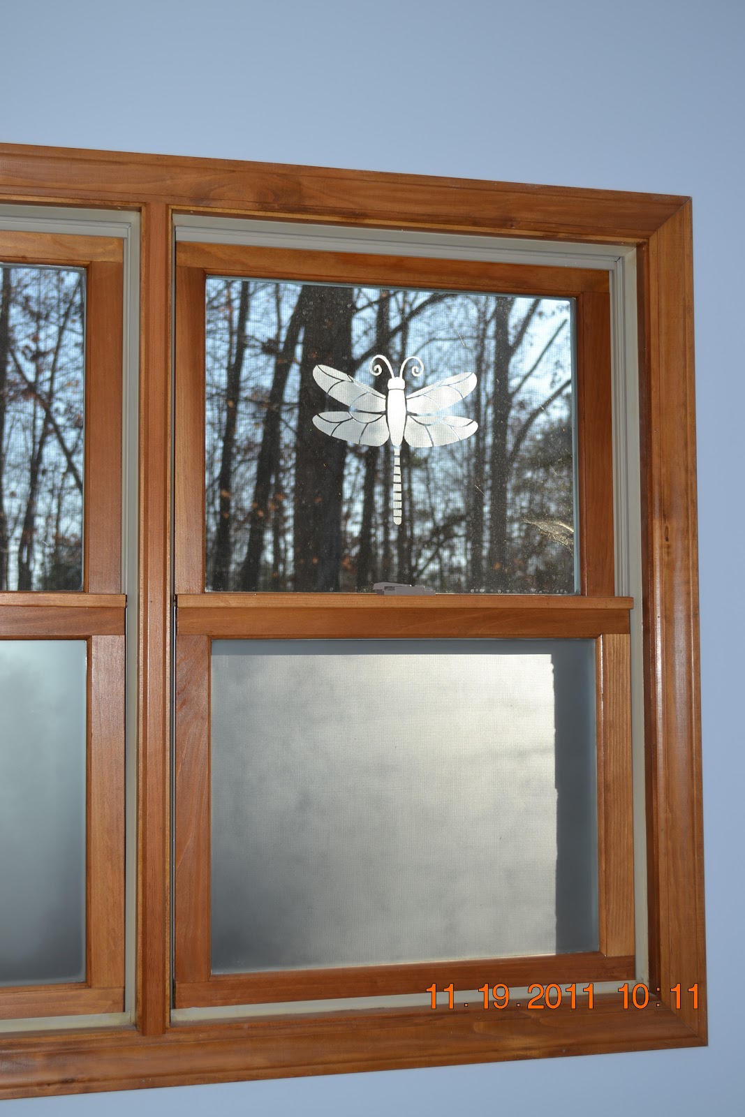 Debbie's Open Window: Window Privacy with Style!