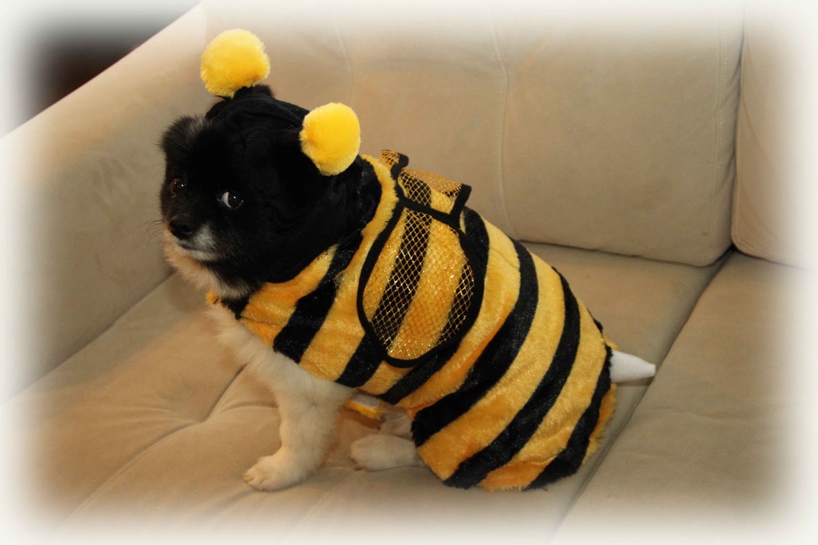 My Laffin' Place: Welcome to the 100 Acre Wood