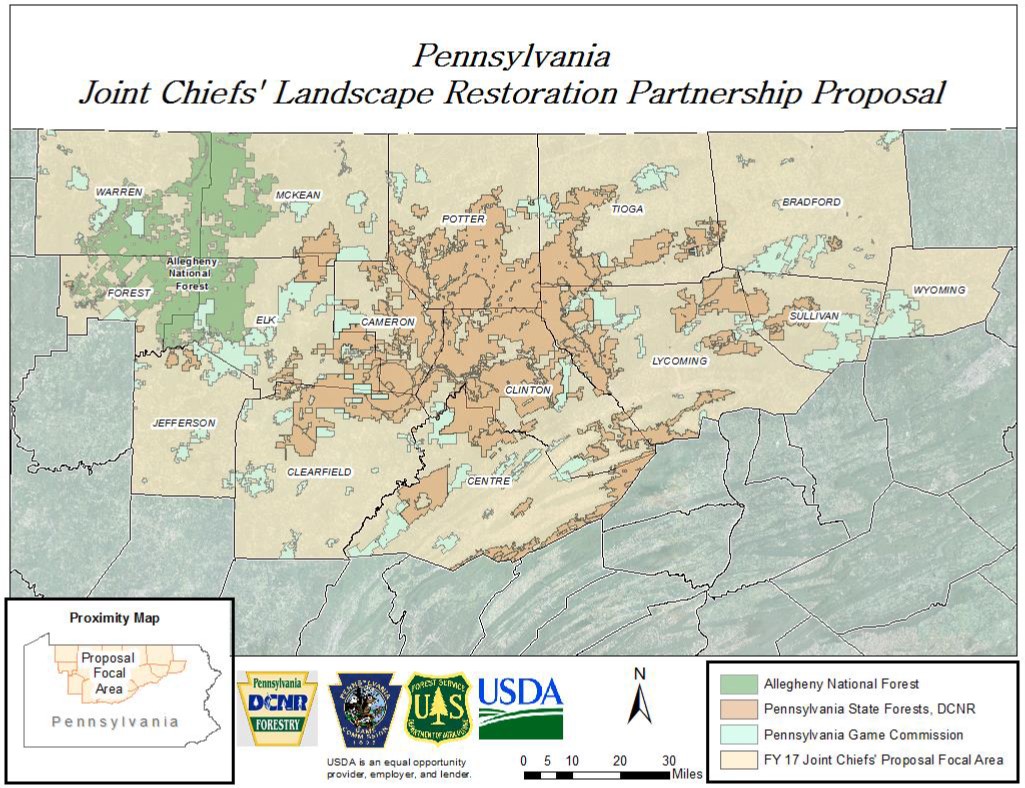 Central Pennsylvania Forestry