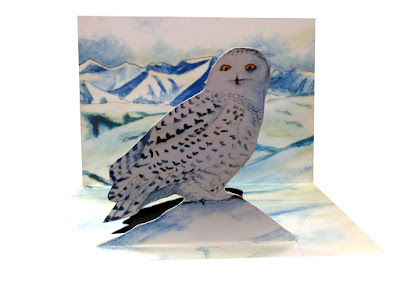 Best in Snow cards – Anna Walsh