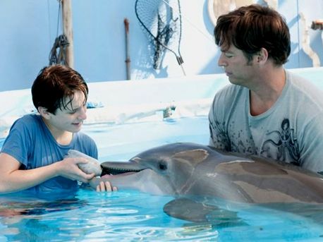 Cine Spidey: Mi analisis y critica de... Winter El Delfin