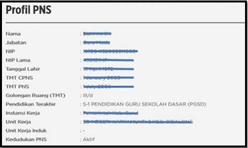 Cara Cek Profil PNS