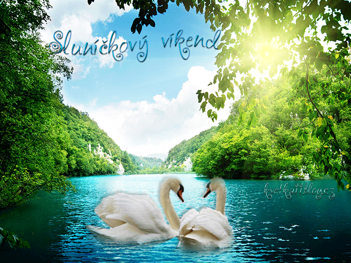 kvetka11: Sluníčkový víkend