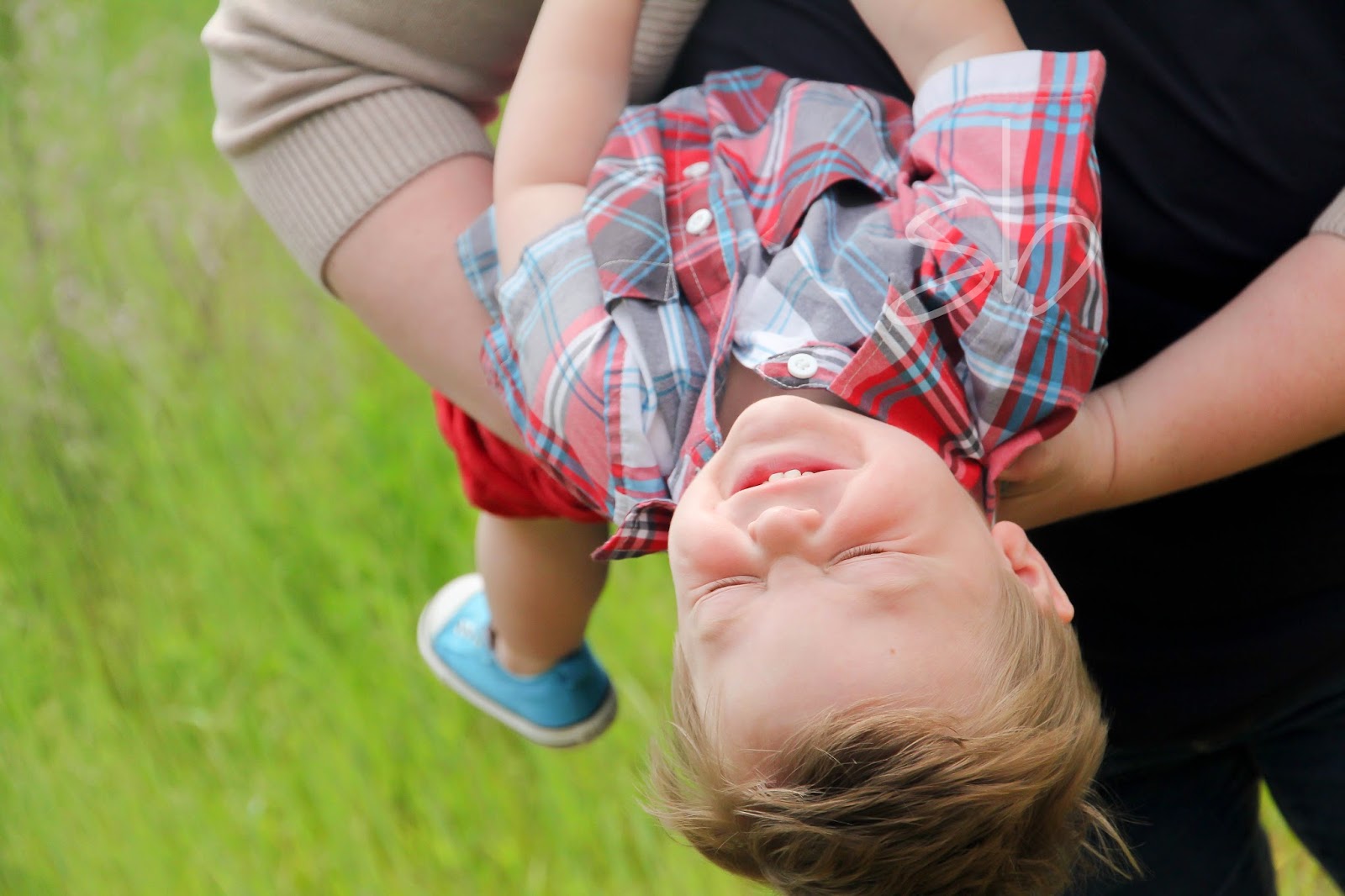 Sugarbee Photography : the dallman boys