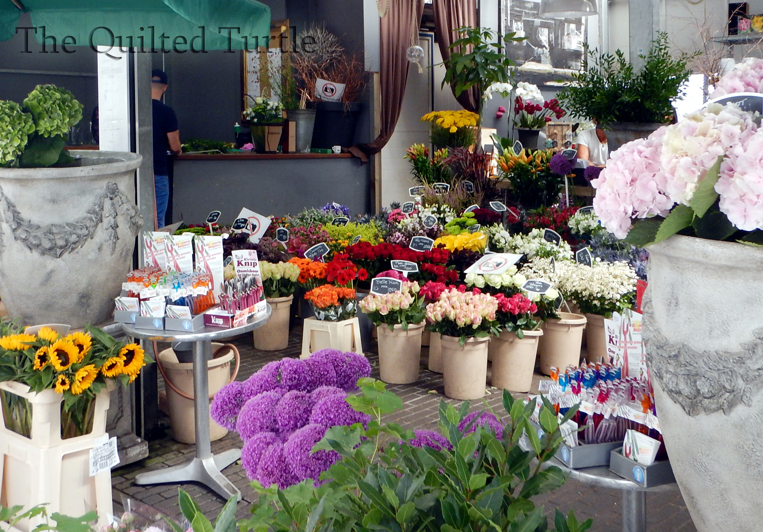The Quilted Turtle: Bloemenmarkt (Floating Flower Market)