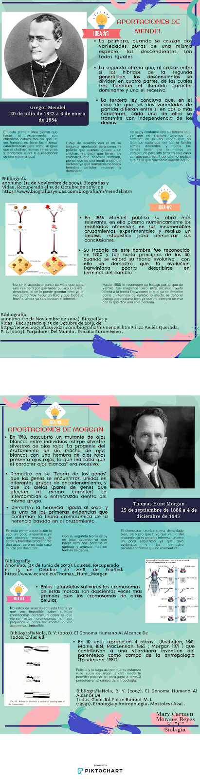 Biología : INFOGRAFÍA MENDEL Y MORGAN