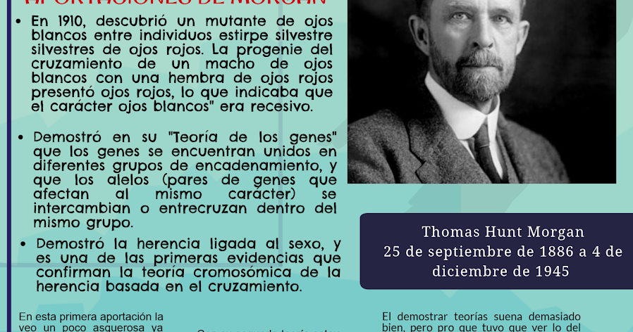 Biología : INFOGRAFÍA MENDEL Y MORGAN
