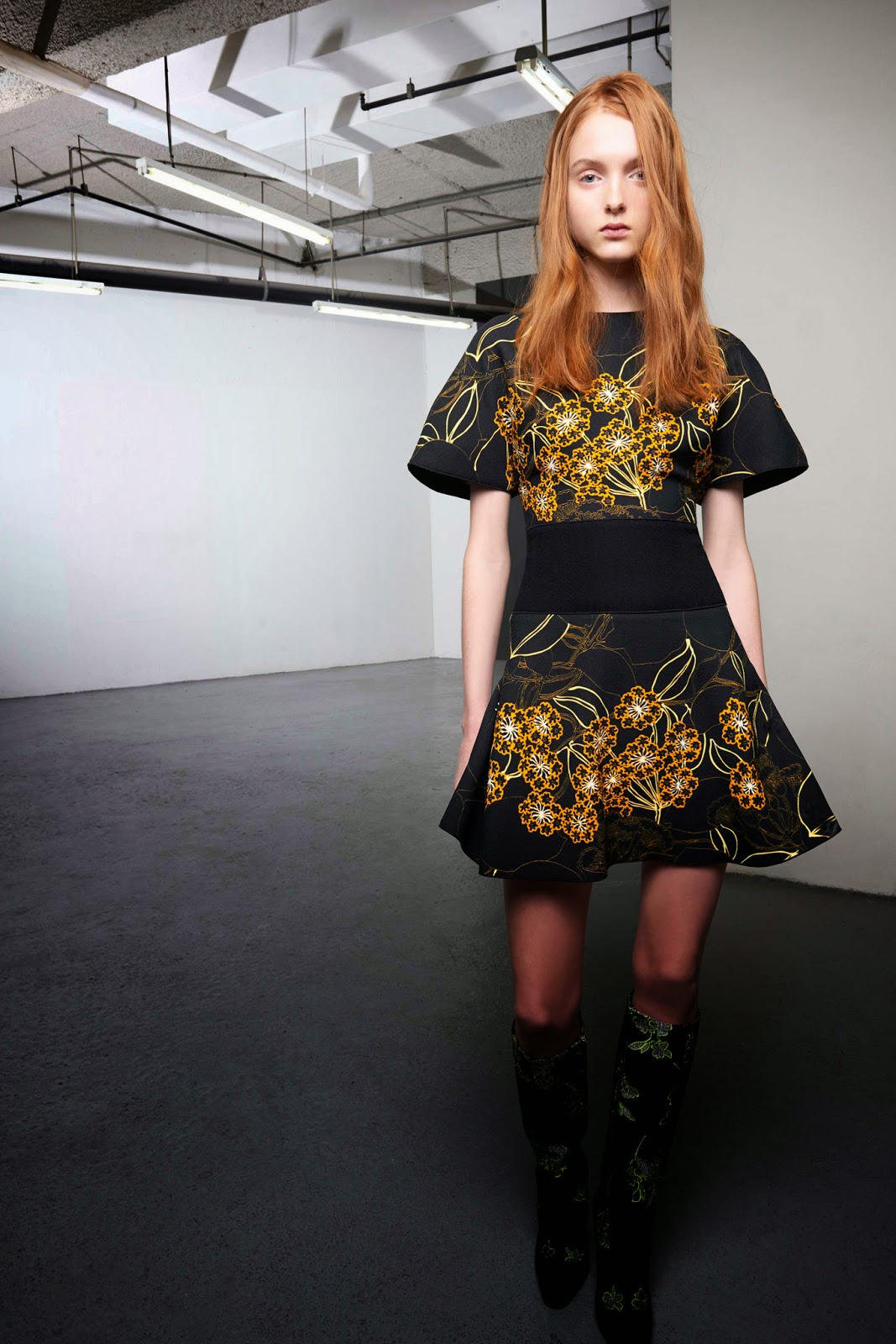 Serendipitylands: GIAMBATTISTA VALLI COLLECTION PRE-FALL 2015