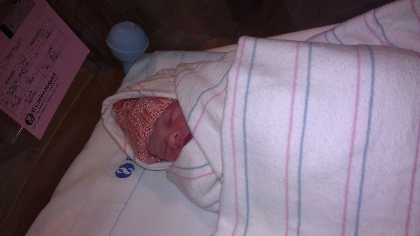 Wayward Rambler: Arrival of Ella Castle