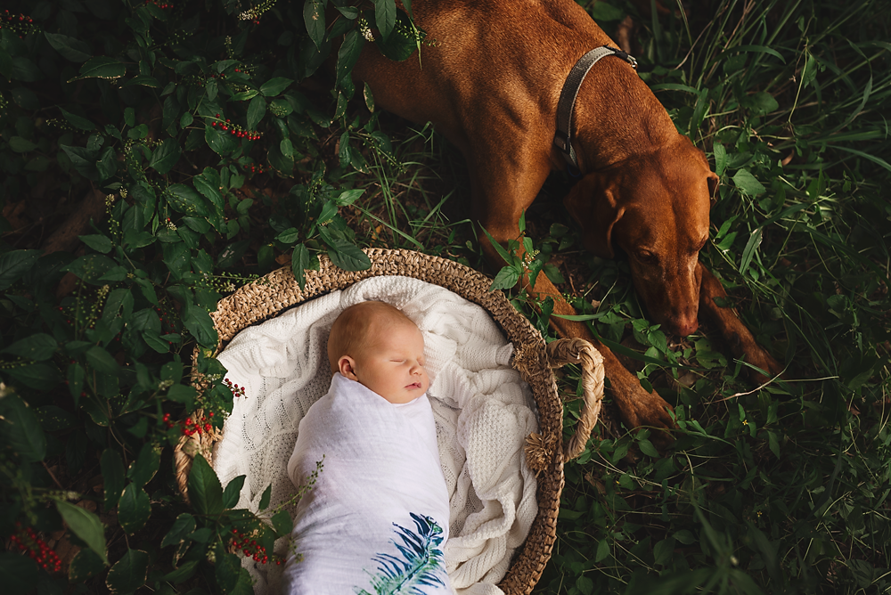 Xanthe Photography : Earthside - North Lakes Brisbane Newborn Photographer