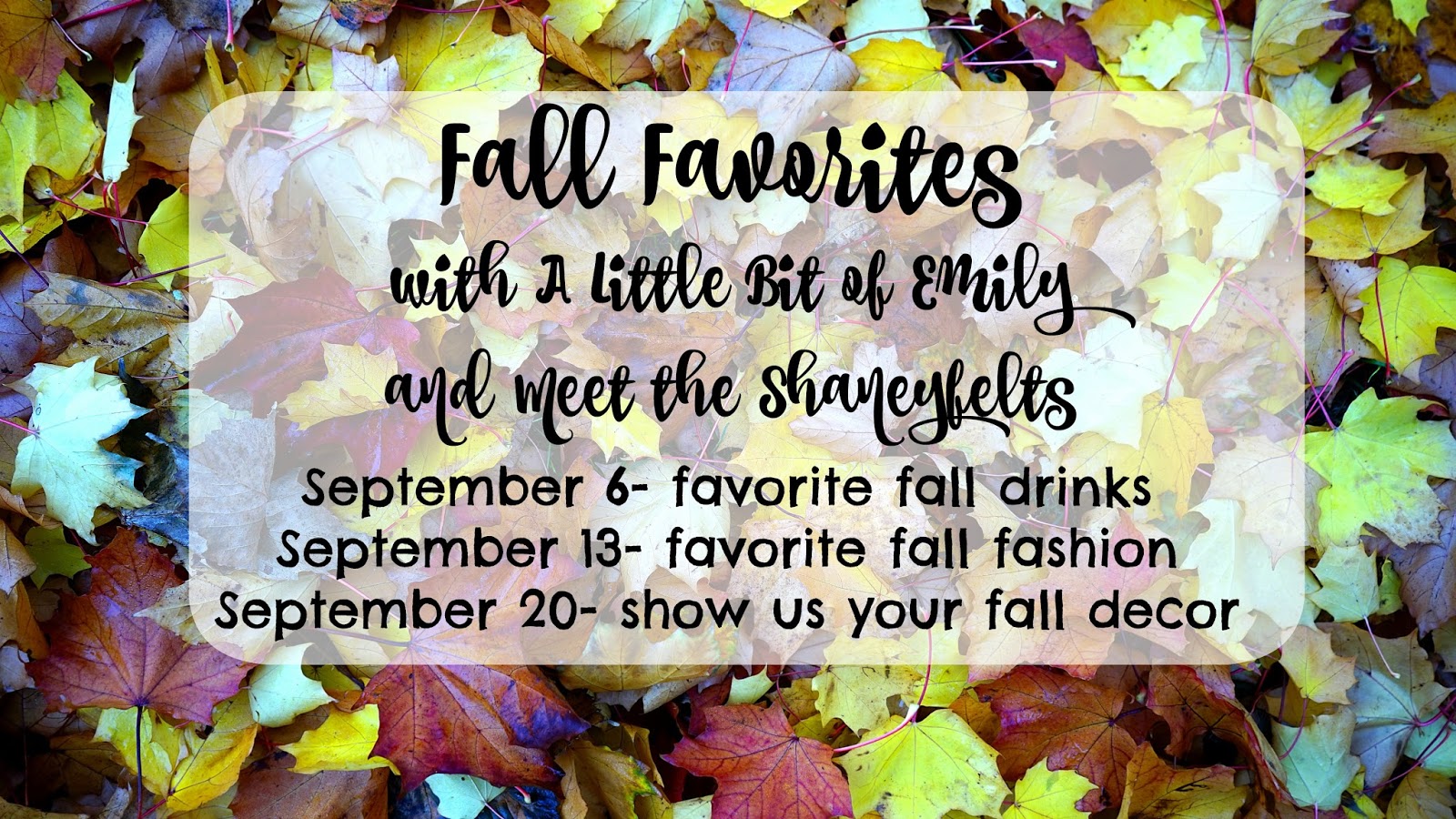 Fall Favorites 2017: Favorite Fall Fashion - Meet the Shaneyfelts