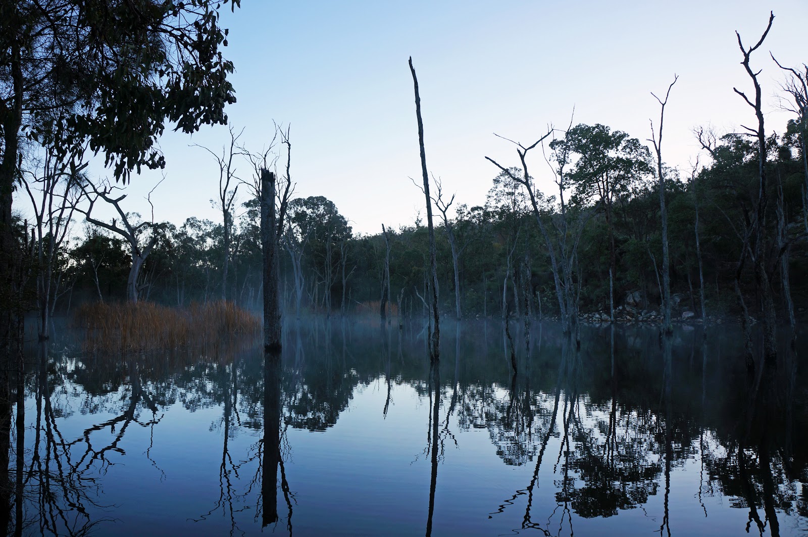 Numbat Track (Paruna Wildlife Sanctuary) ~ The Long Way's Better