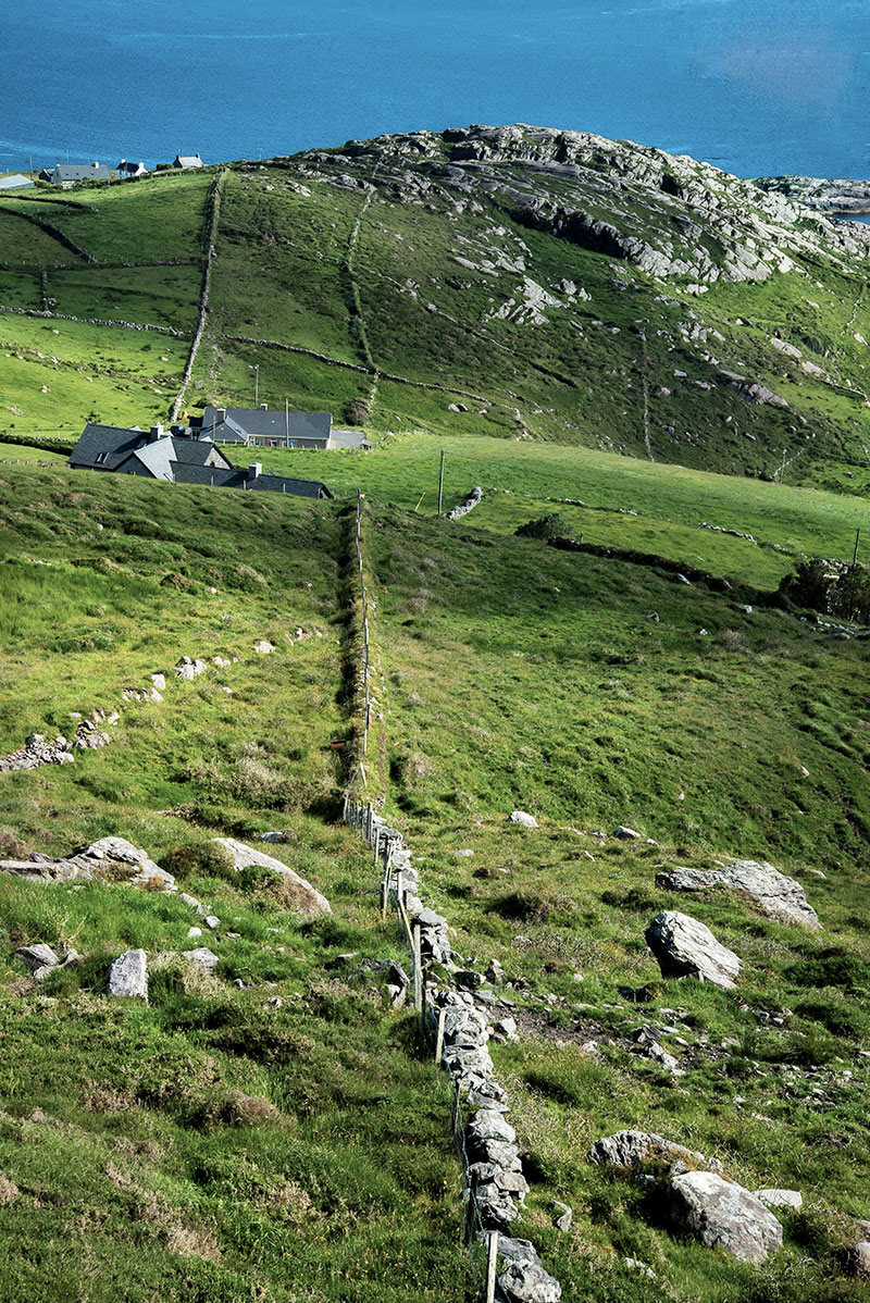 Rugged Ireland - WILD GREENS & SARDINES