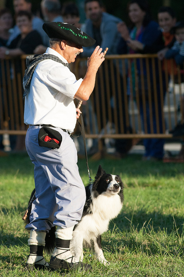 aitor blog: V Concurso de Perro Pastor en Zarautz