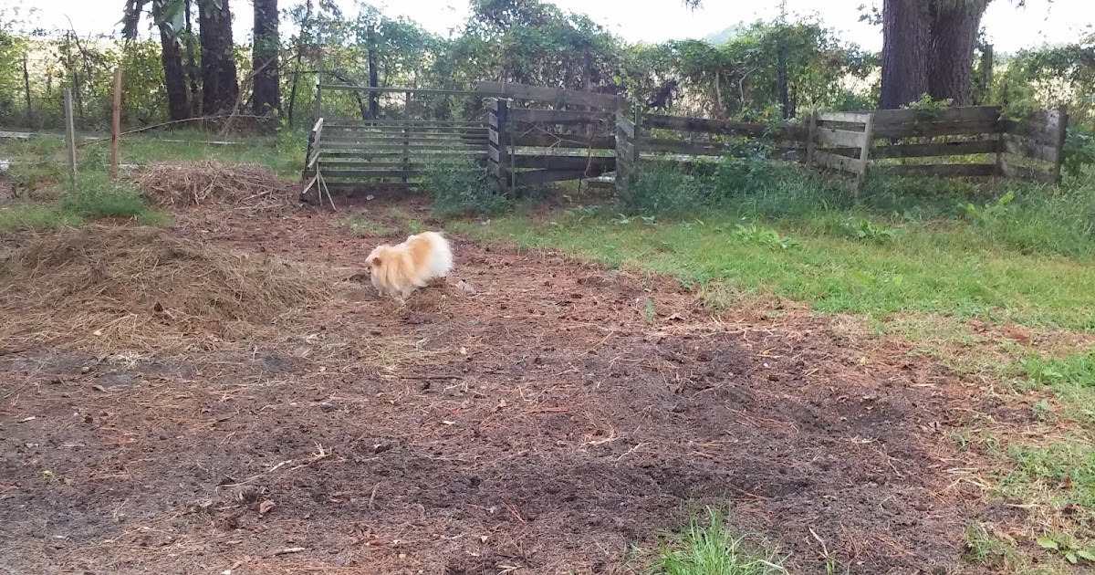 Red Robin Farm: Making Soil