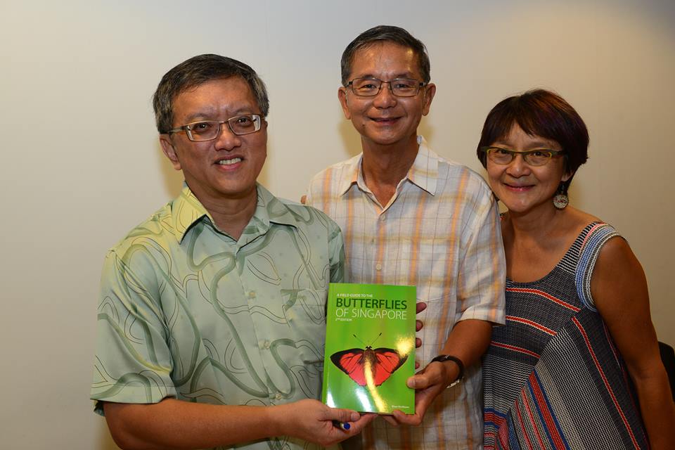 Butterflies of Singapore: Nov 14, 2015