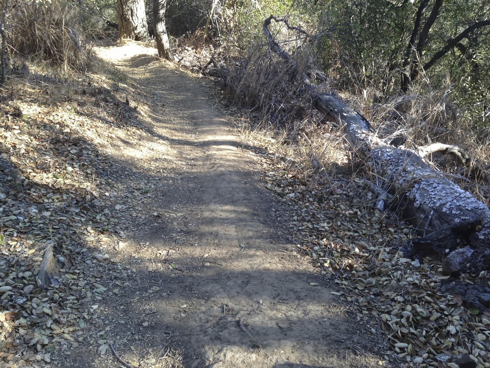 Hiking the Backbone Trail: Transitional Trails