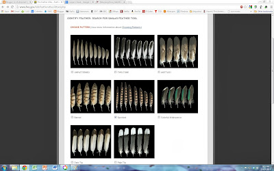 A Life Inspired by Nature: FWS Feather Atlas