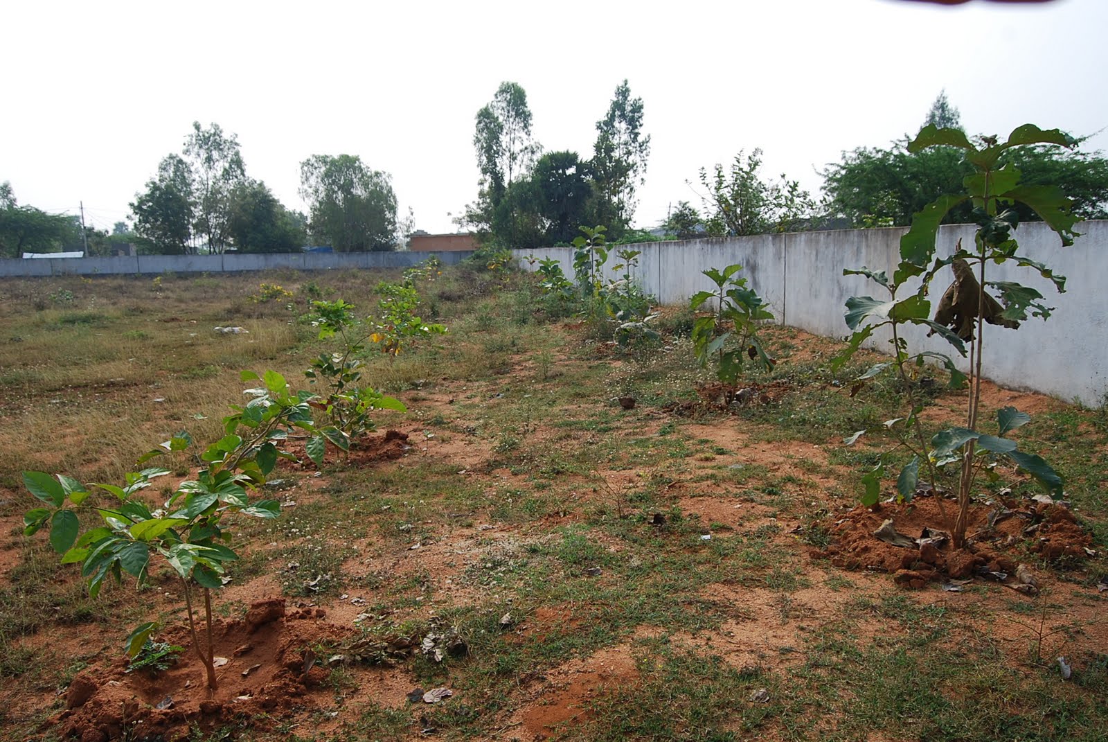 Suryapet Municipality: Initiatives of Suryapet Municipality